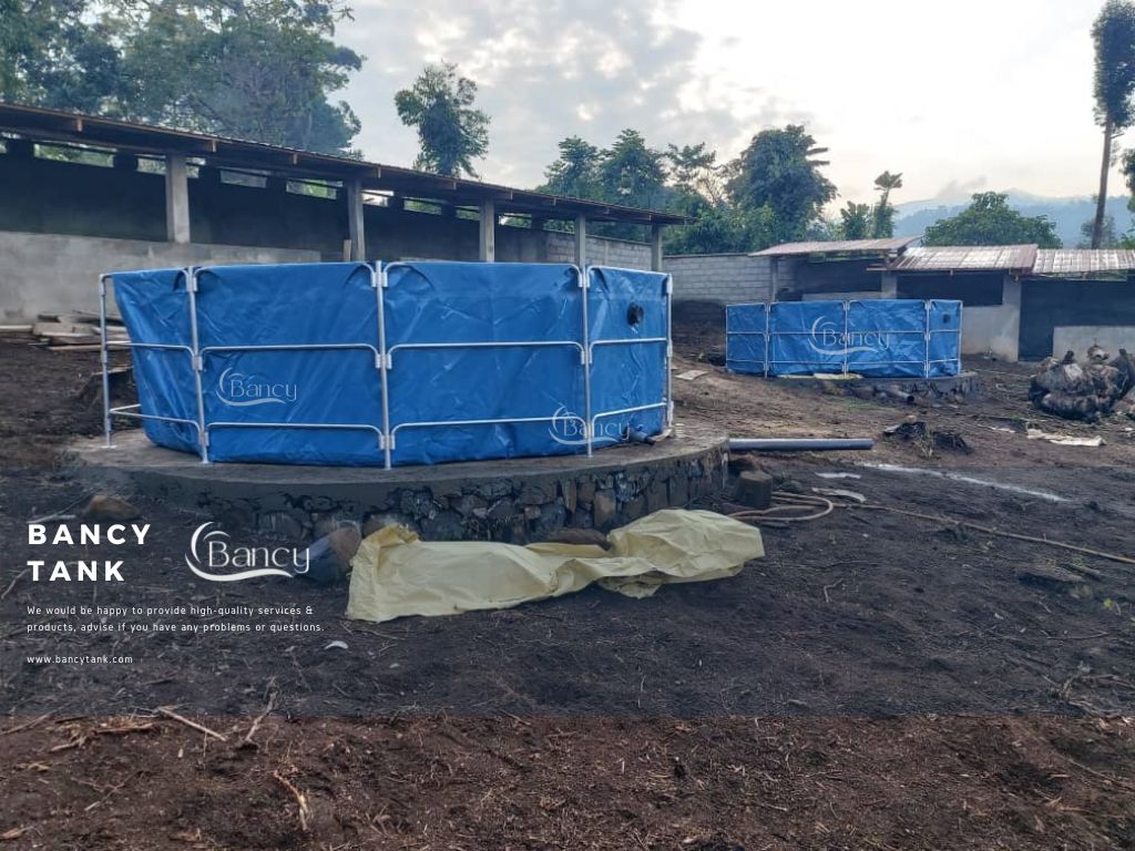 Cameroon Customer’s 15000L Catfish Farming Tank - Bancytank